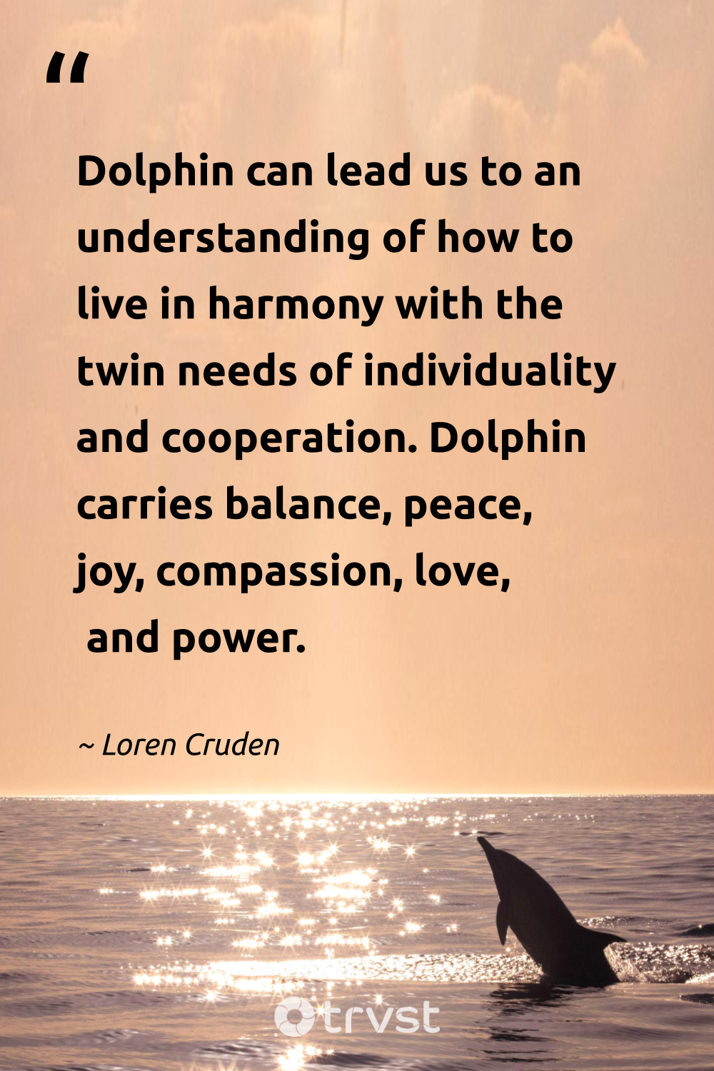 40 Dolphin Quotes Celebrating The Beaming Mammals (2024)