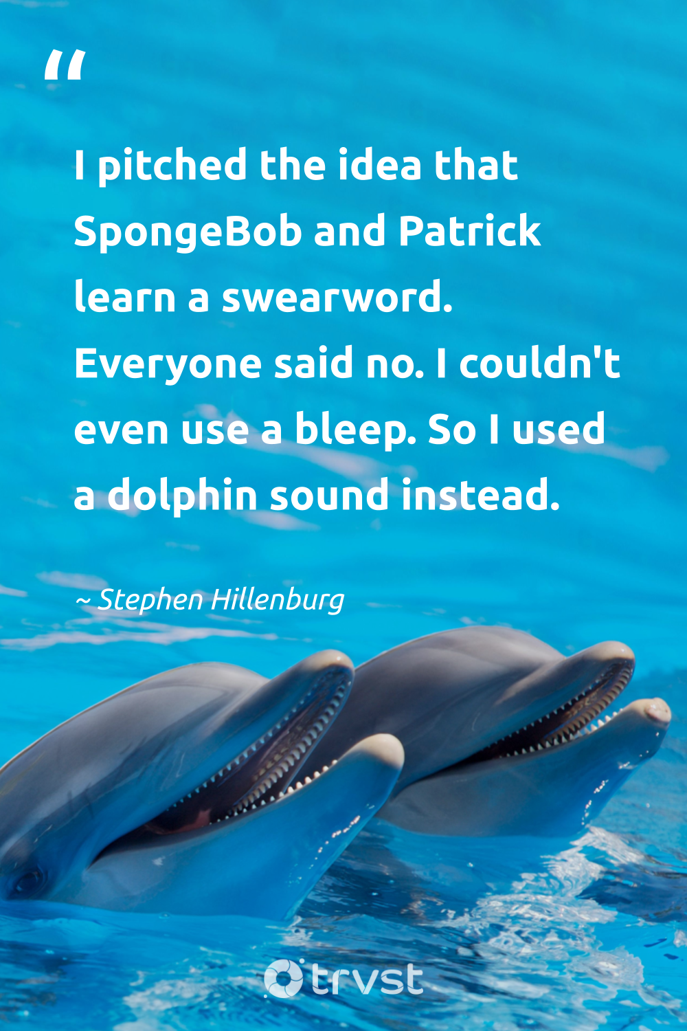40 Dolphin Quotes Celebrating The Beaming Mammals (2024)