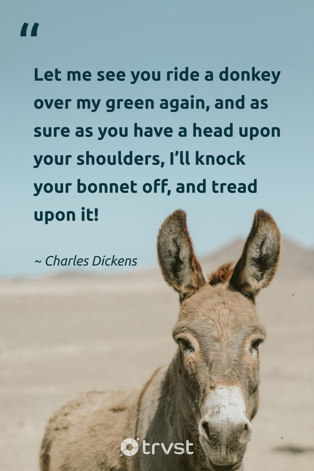 31 Donkey Quotes To Make You Smile And Think (2025)