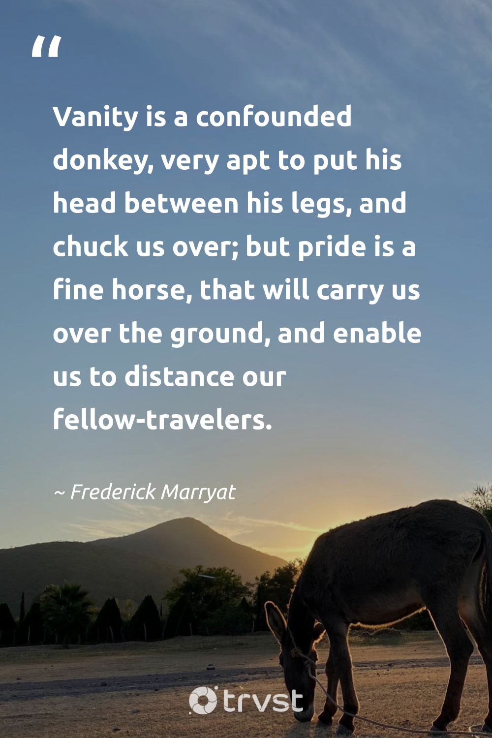 31 Donkey Quotes To Make You Smile And Think (2025)