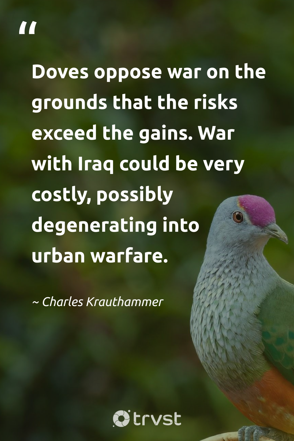 40 Dove Quotes About Our Peaceful Feathered Friends