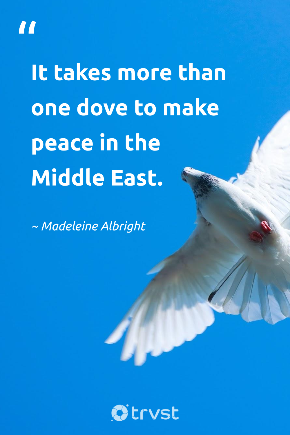 40 Dove Quotes About Our Peaceful Feathered Friends