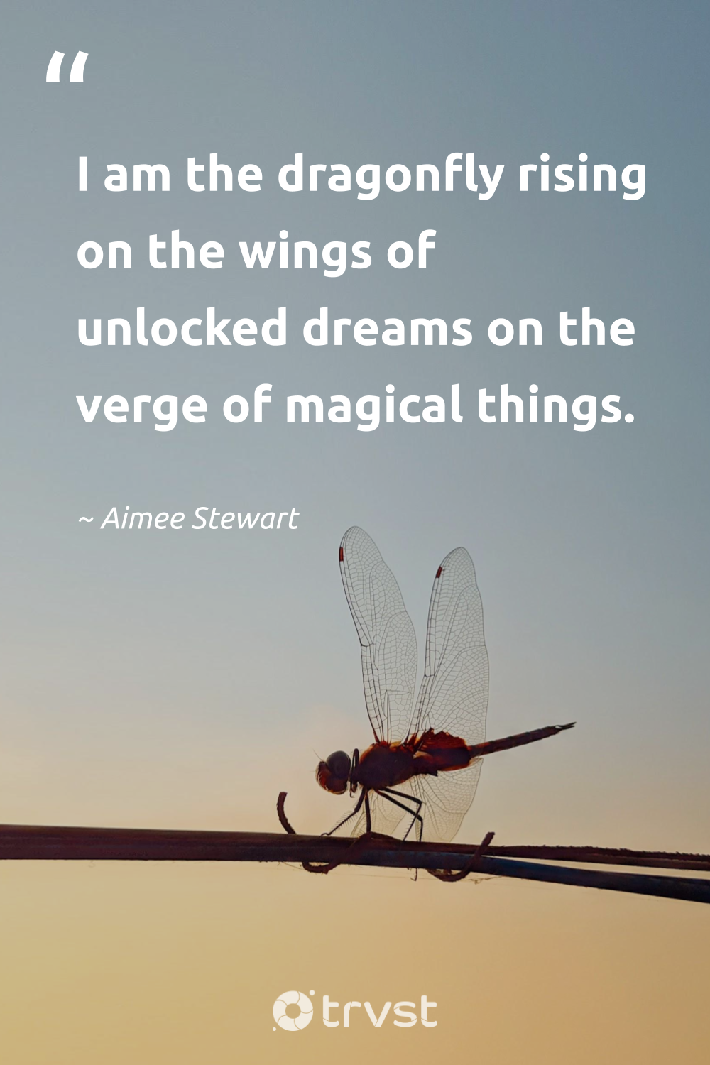 35 Dragonfly Quotes to Spark Fortune and Inspiration (2025)