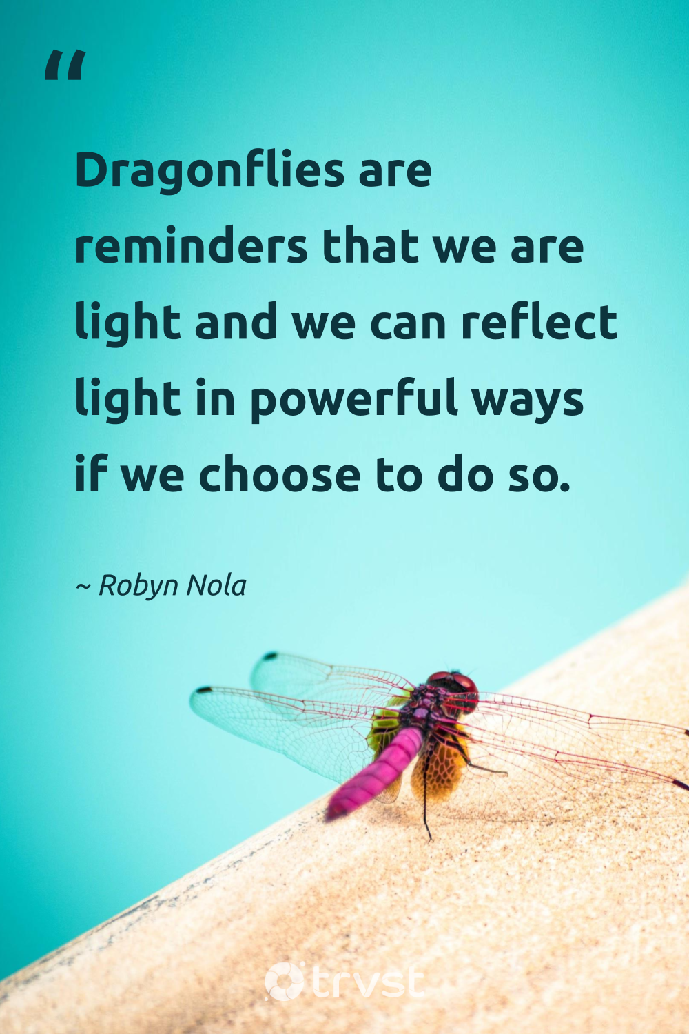 35 Dragonfly Quotes to Spark Fortune and Inspiration (2025)