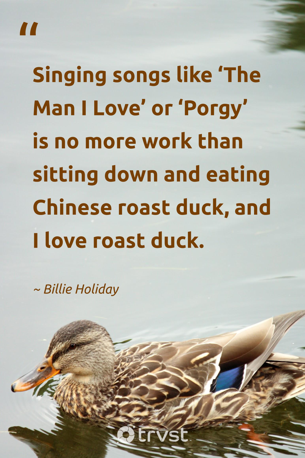 42 Duck Quotes And Sayings About The Friendly Waterfowls (2025)