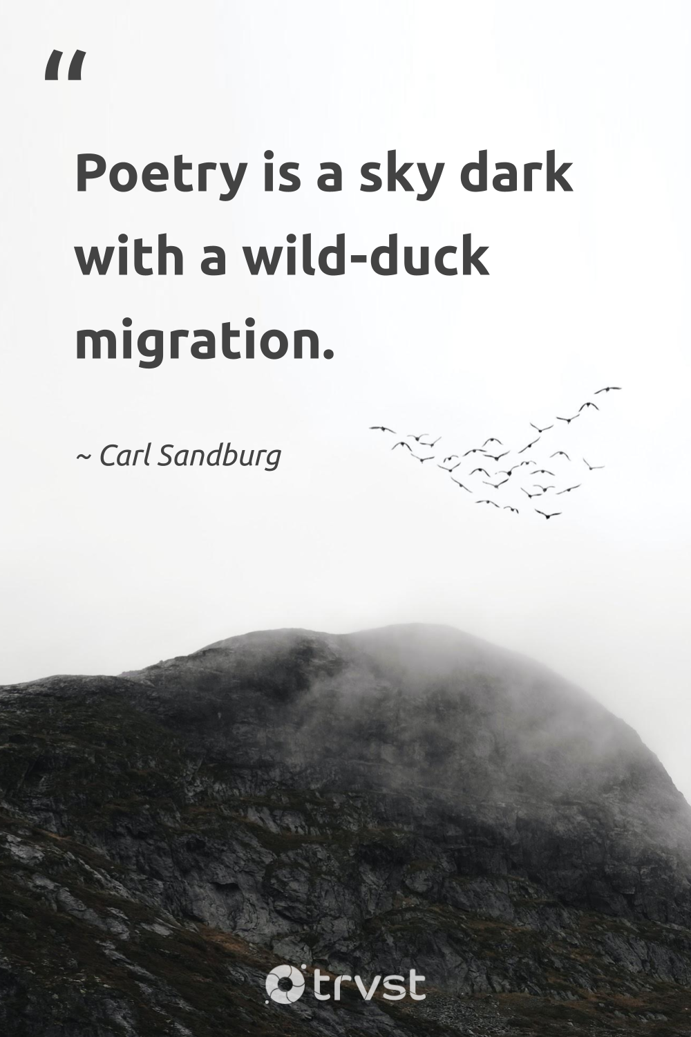 42 Duck Quotes And Sayings About The Friendly Waterfowls (2025)