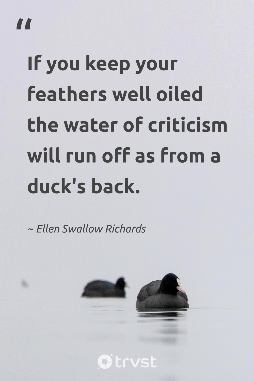 42 Duck Quotes And Sayings About The Friendly Waterfowls (2025)