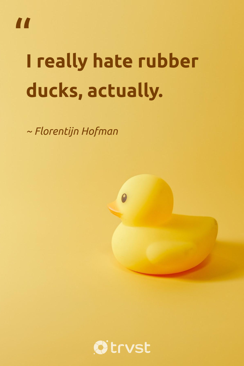 42 Duck Quotes And Sayings About The Friendly Waterfowls (2024)