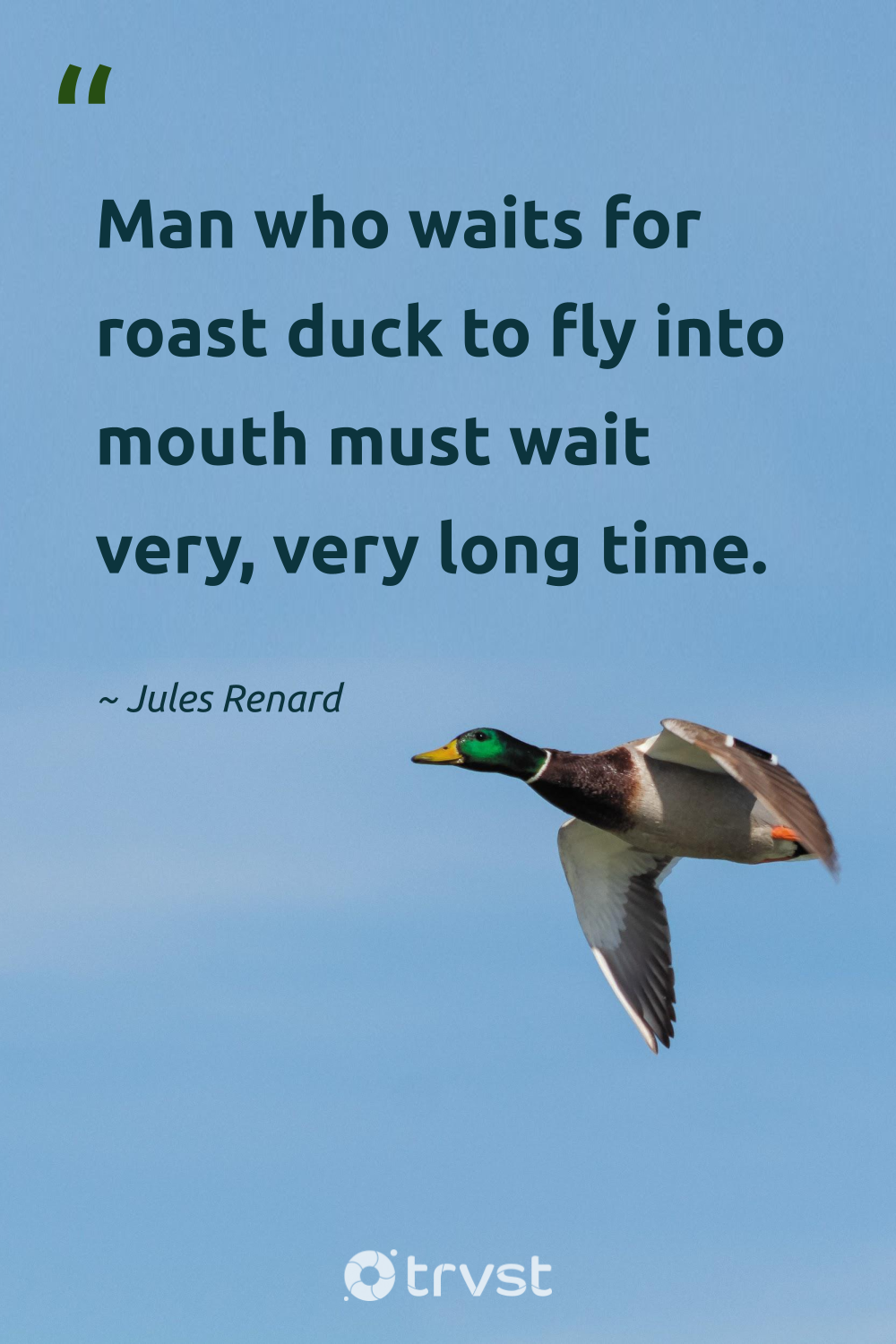 42 Duck Quotes And Sayings About The Friendly Waterfowls (2025)