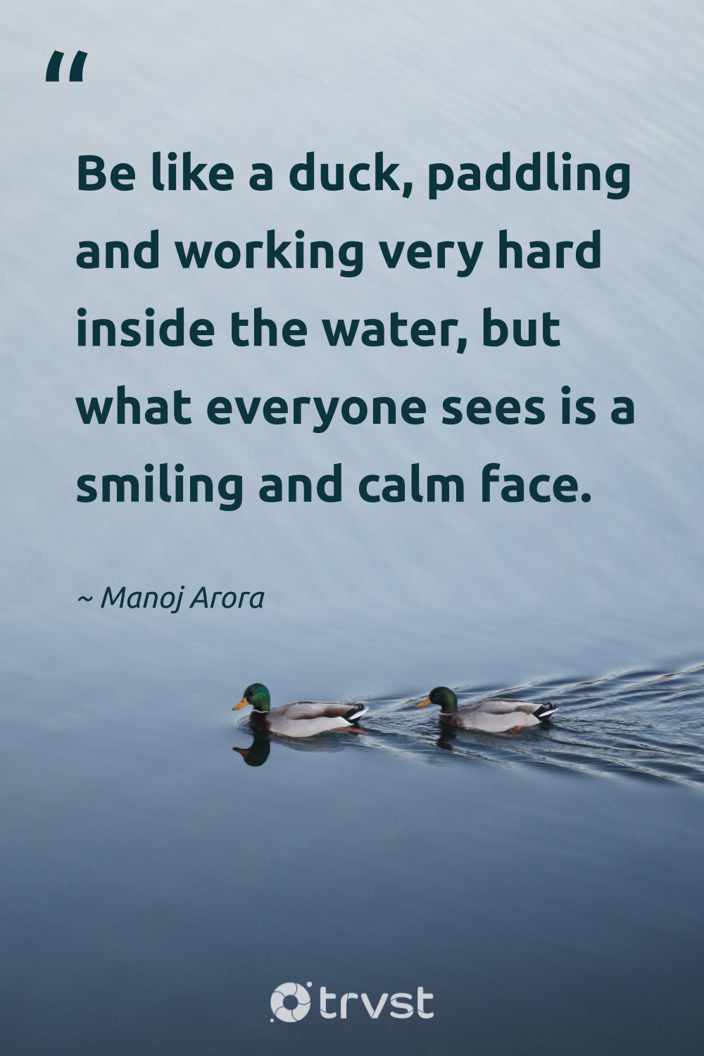 42 Duck Quotes And Sayings About The Friendly Waterfowls (2025)