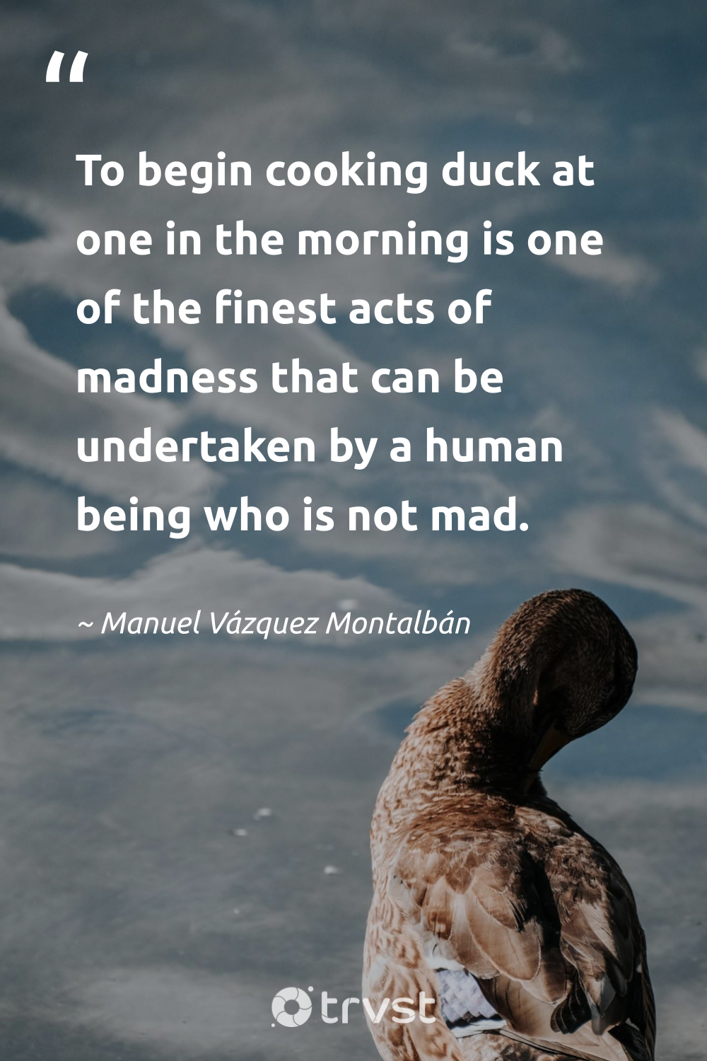 42 Duck Quotes And Sayings About The Friendly Waterfowls (2025)