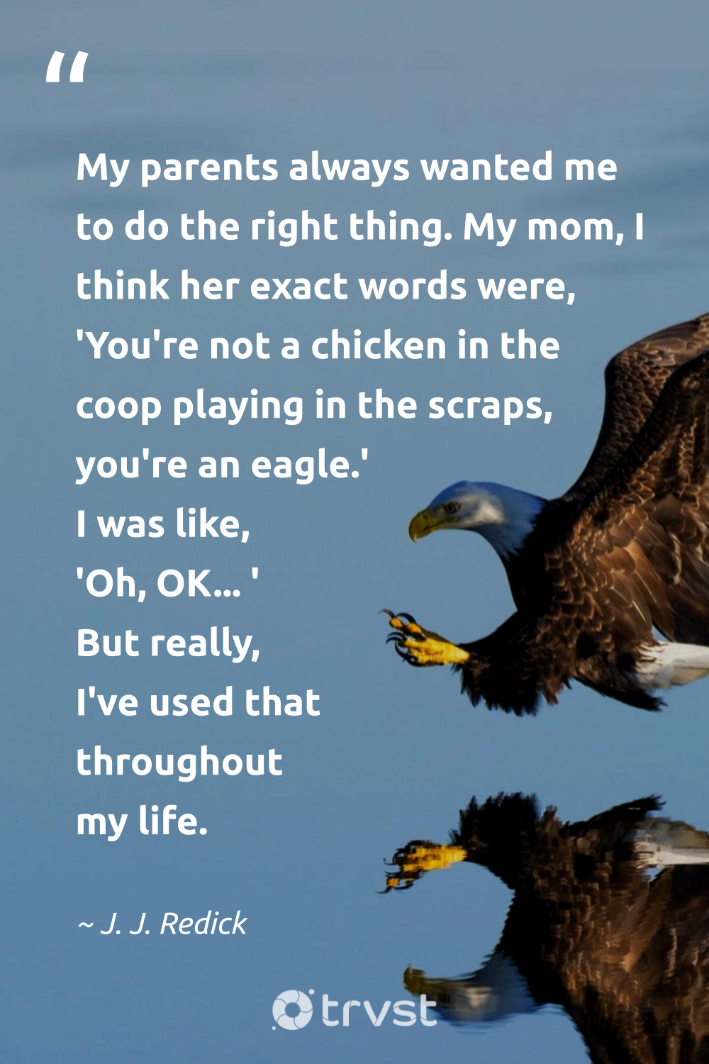 65 Eagle Quotes That Can Help You Conquer the Sky (2025)