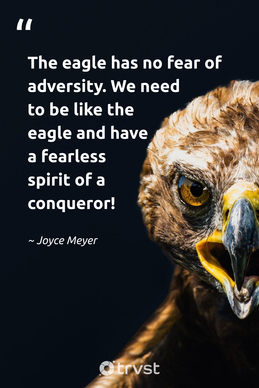 65 Eagle Quotes That Can Help You Conquer the Sky (2025)