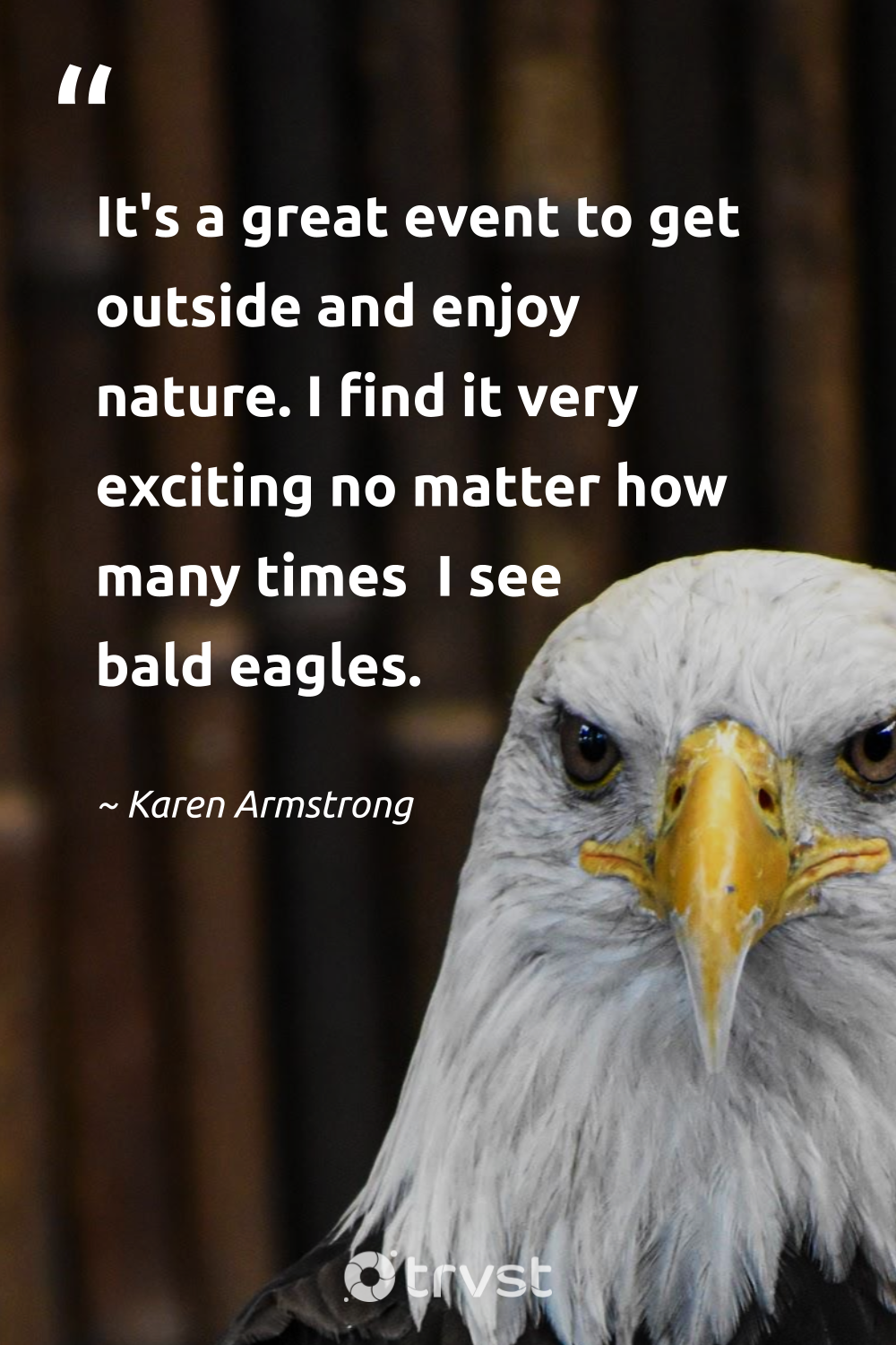 65 Eagle Quotes That Can Help You Conquer the Sky (2024)