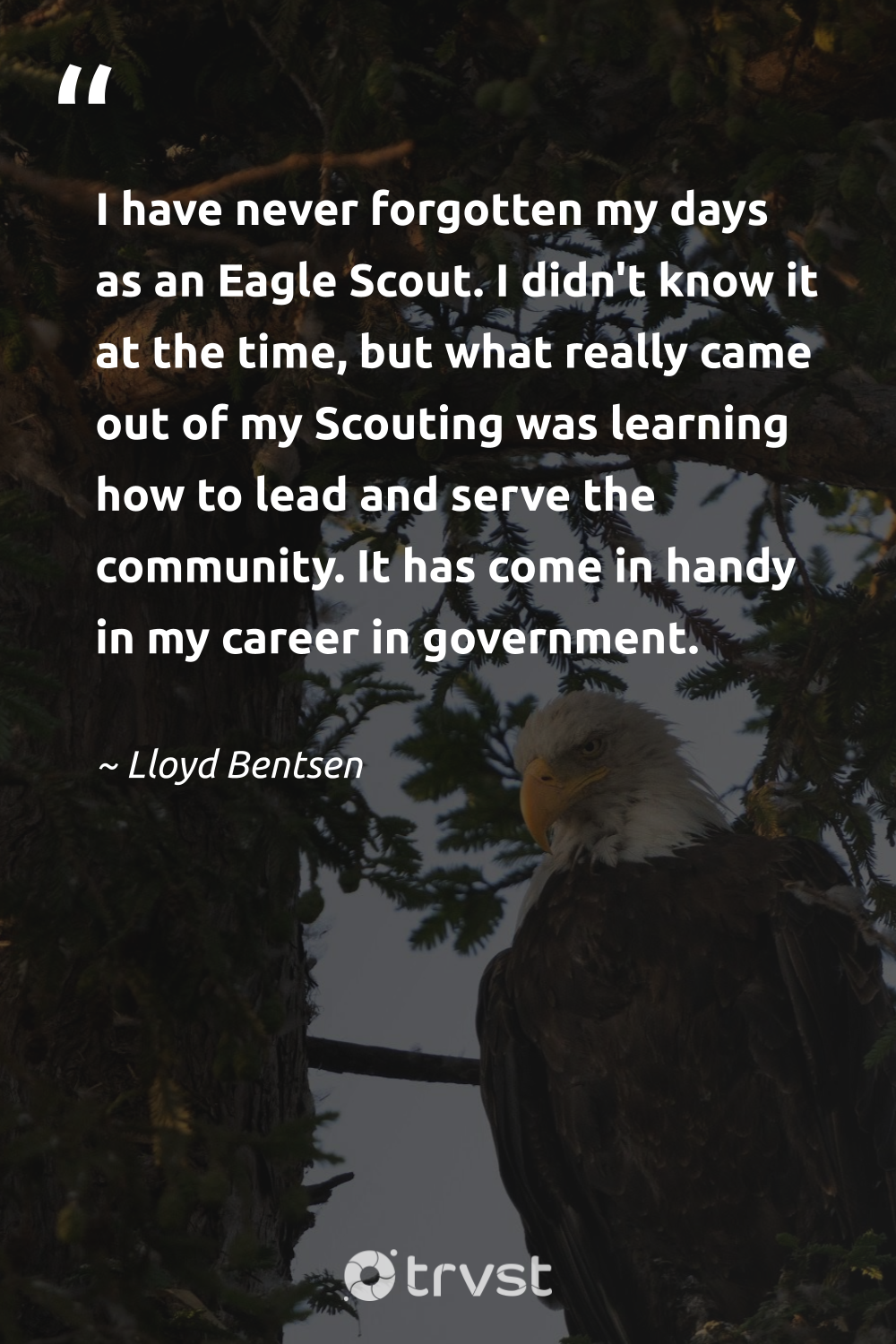 65 Eagle Quotes That Can Help You Conquer the Sky (2024)