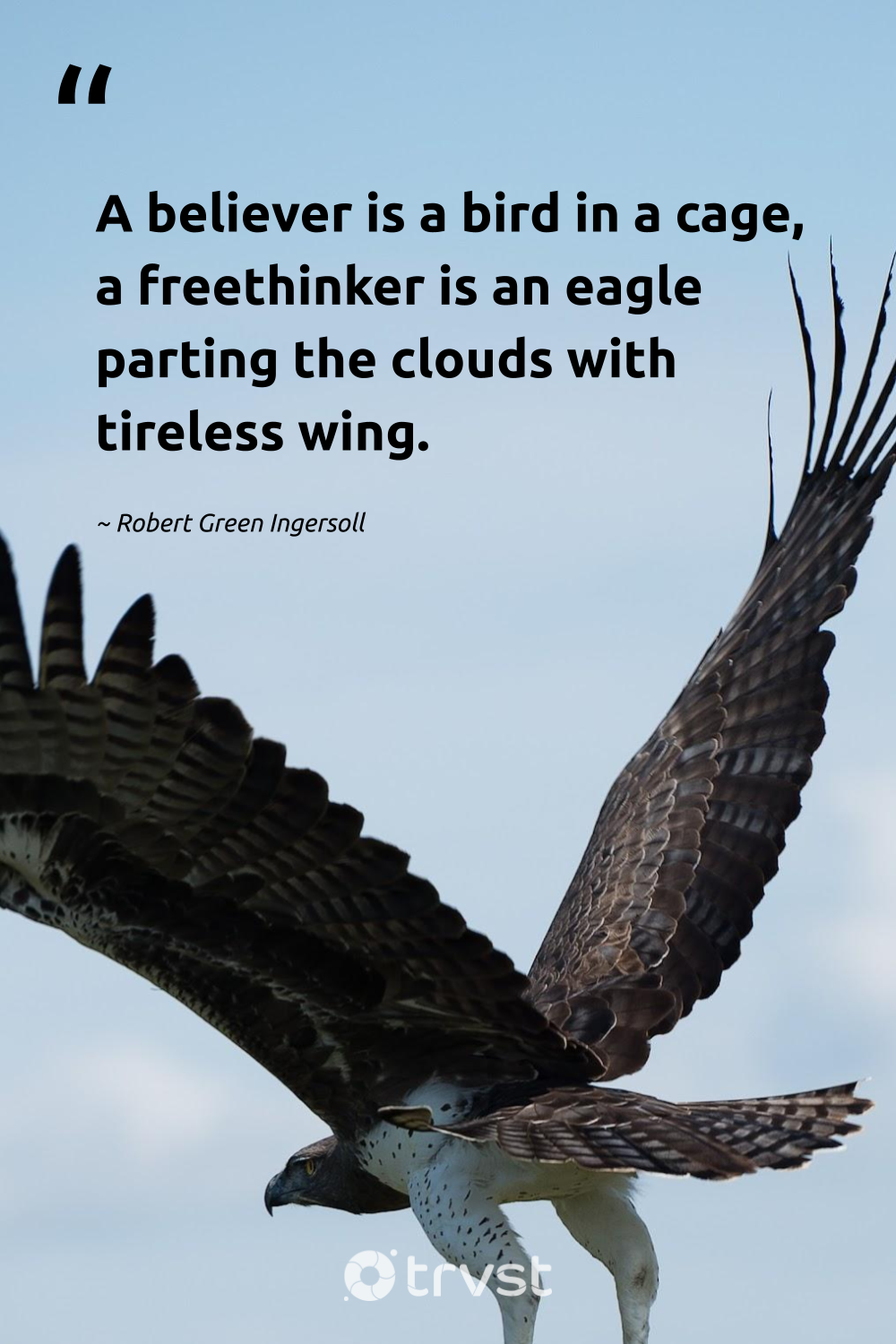 65 Eagle Quotes That Can Help You Conquer the Sky (2025)