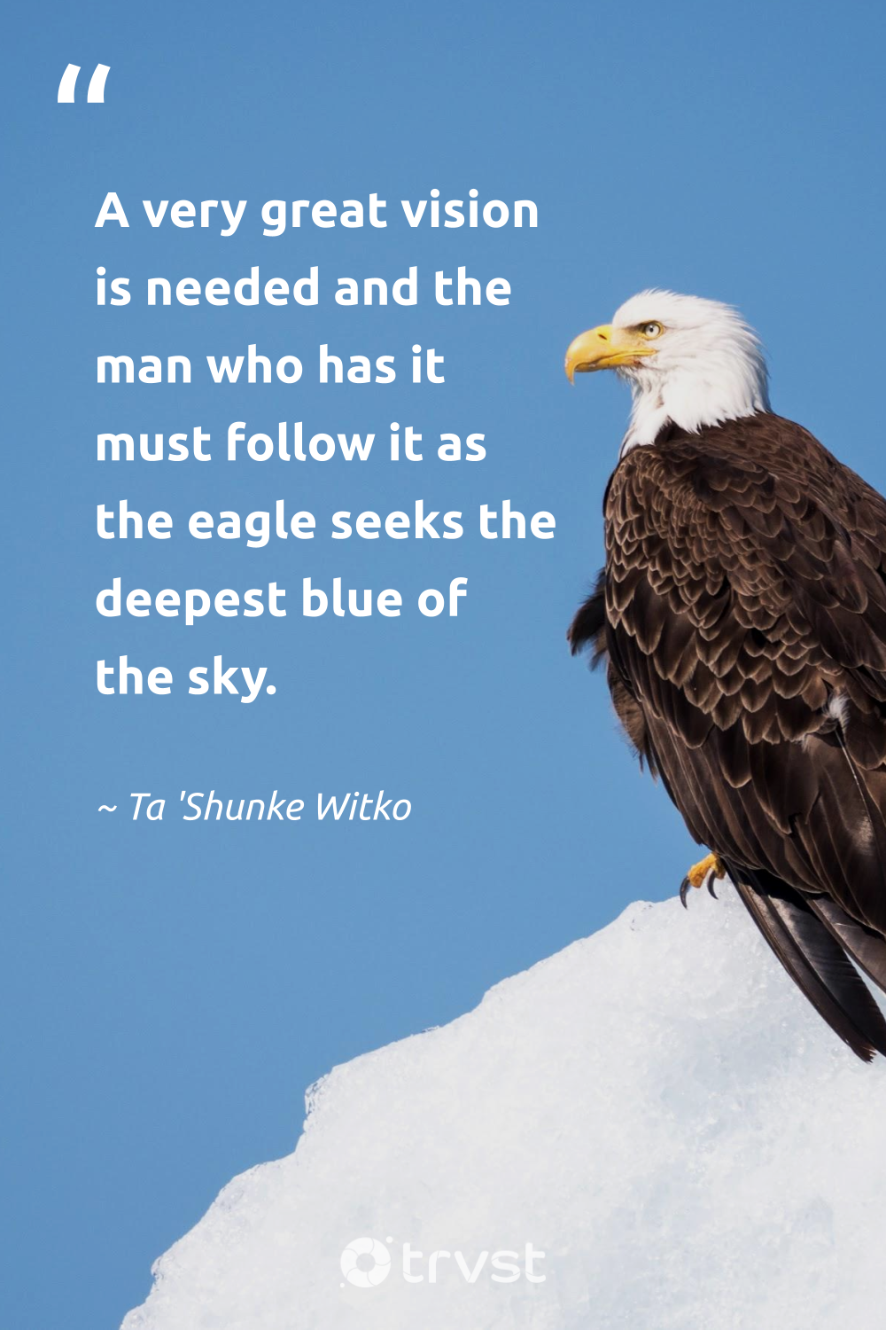 65 Eagle Quotes That Can Help You Conquer the Sky (2024)
