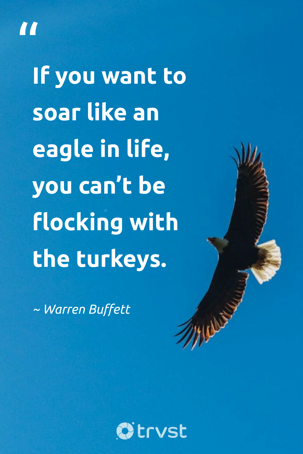 65 Eagle Quotes That Can Help You Conquer the Sky (2025)