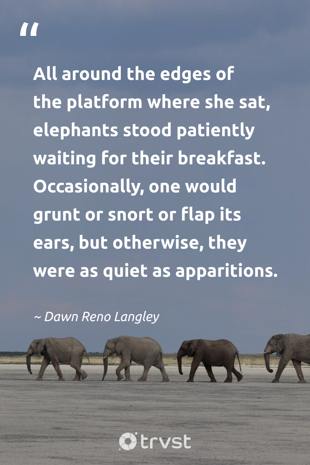 73 Elephant Quotes Inspiring Conservation & Might (2025)