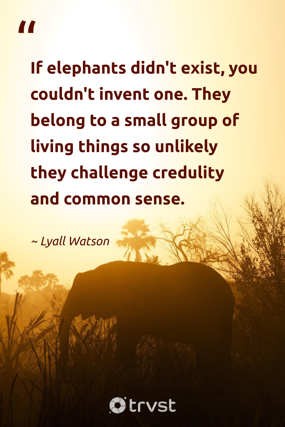73 Elephant Quotes Inspiring Conservation & Might (2025)