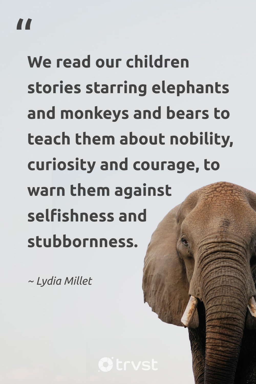 73 Elephant Quotes Inspiring Conservation & Might (2024)