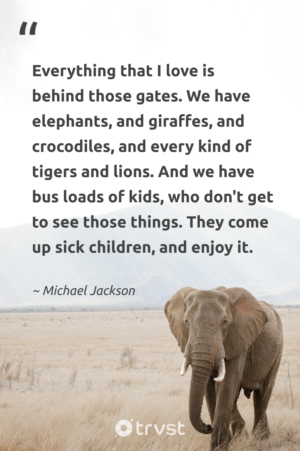 73 Elephant Quotes Inspiring Conservation & Might (2024)