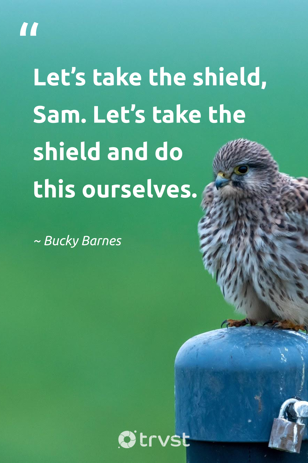 20 Falcon Quotes To Soar Your Spirits High