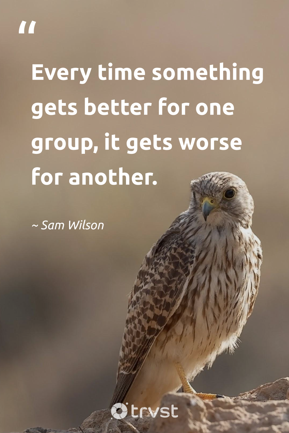 20 Falcon Quotes To Soar Your Spirits High