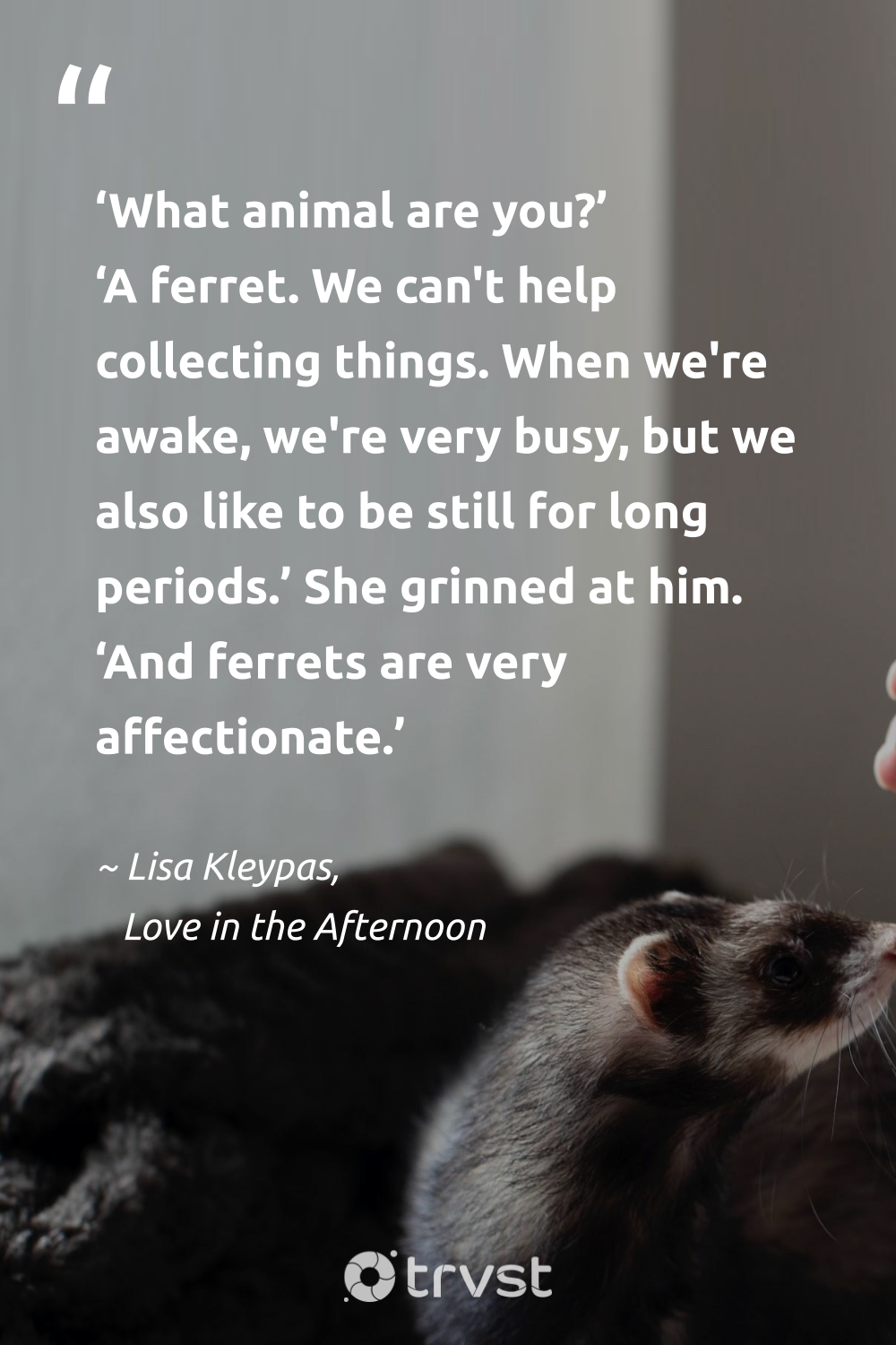 10 Ferret Quotes About The Stealthy Mustelids