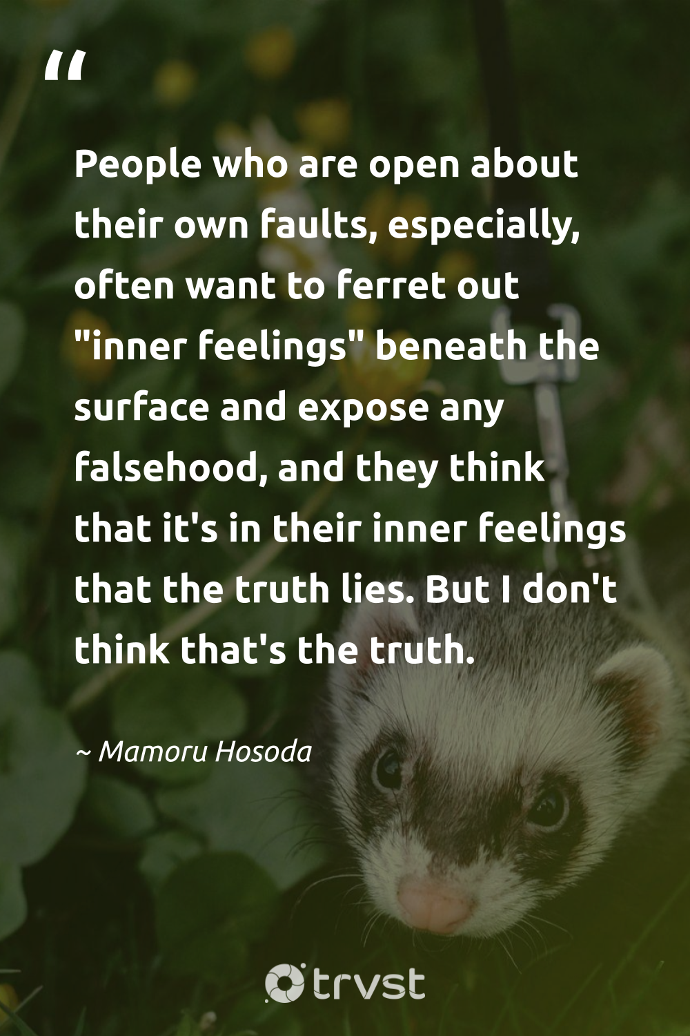 10 Ferret Quotes About The Stealthy Mustelids