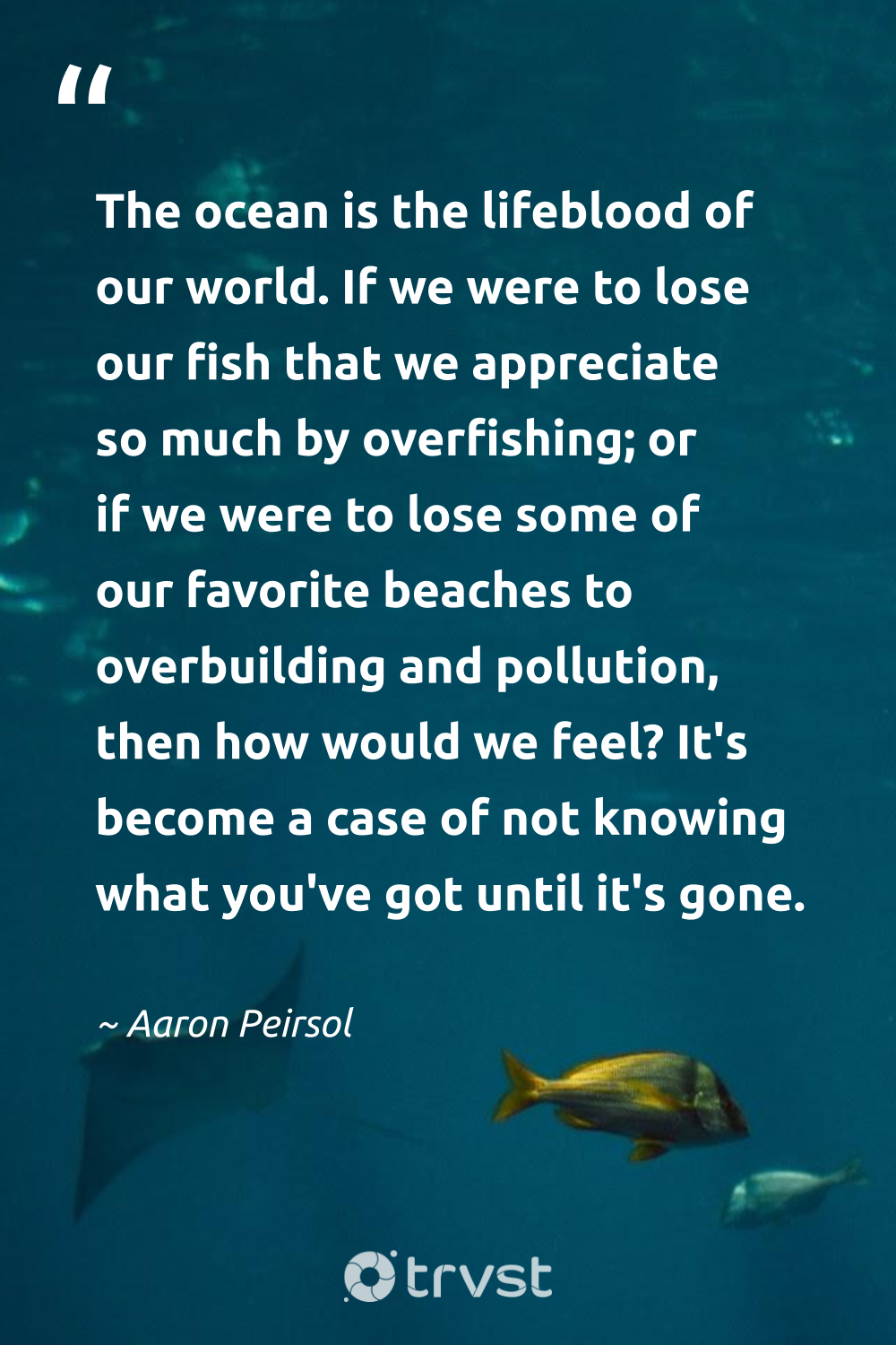 55 Fish Quotes And Sayings Swimming In Inspiration