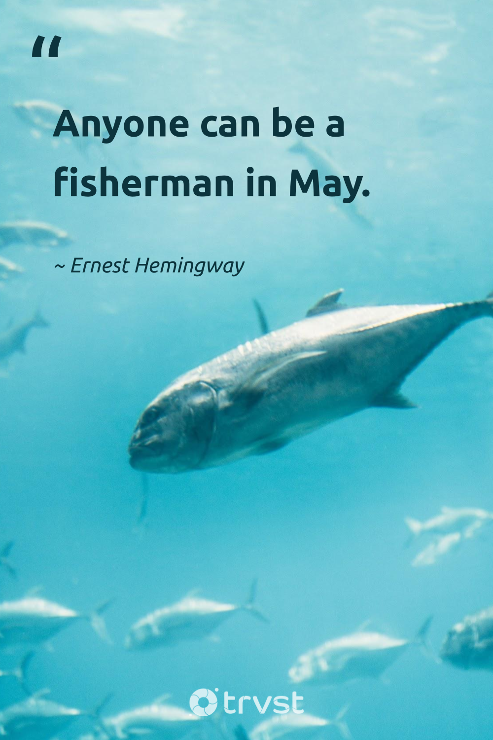 55 Fish Quotes And Sayings Swimming In Inspiration