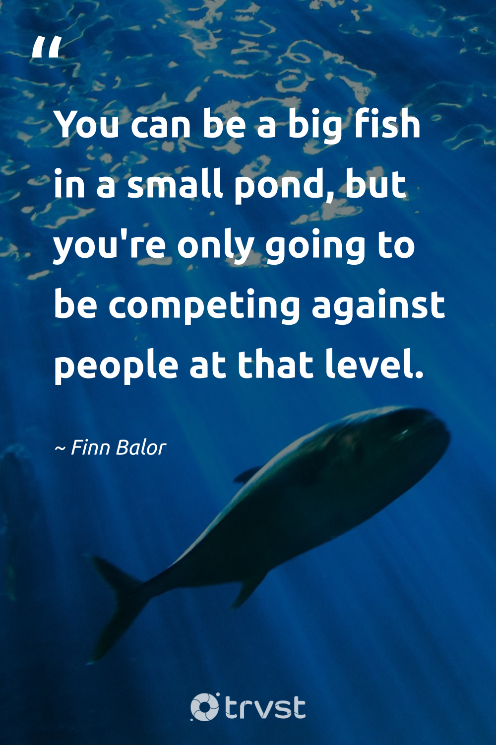 55 Fish Quotes And Sayings Swimming In Inspiration