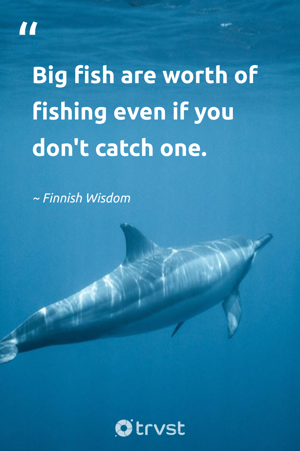 55 Fish Quotes And Sayings Swimming In Inspiration
