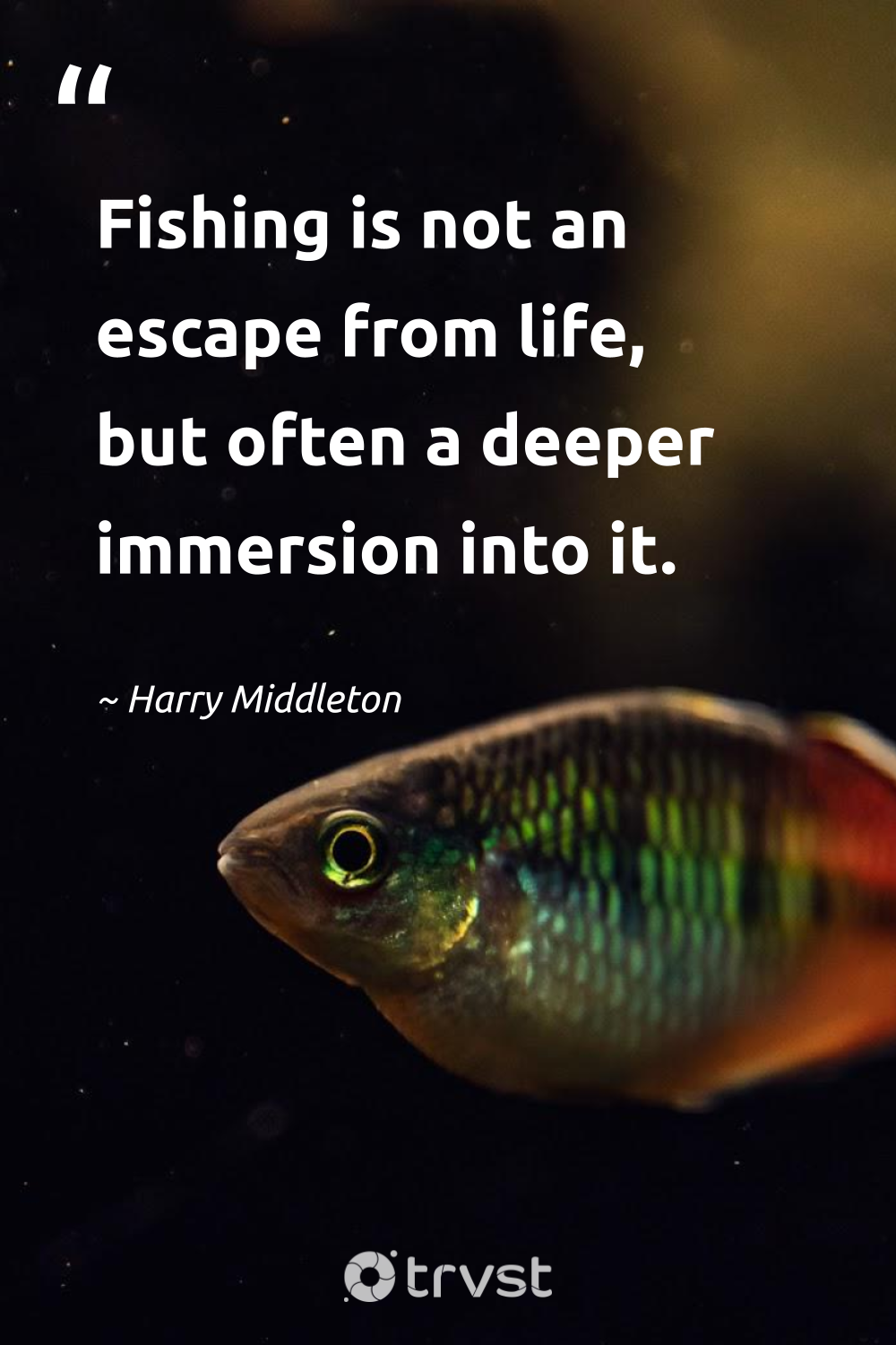55 Fish Quotes And Sayings Swimming In Inspiration