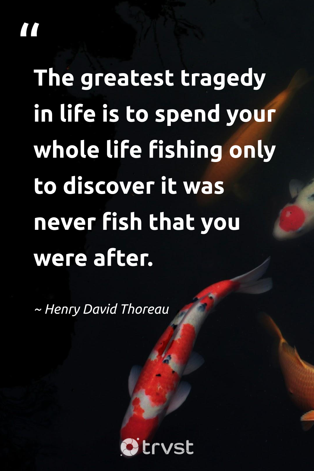 55 Fish Quotes And Sayings Swimming In Inspiration