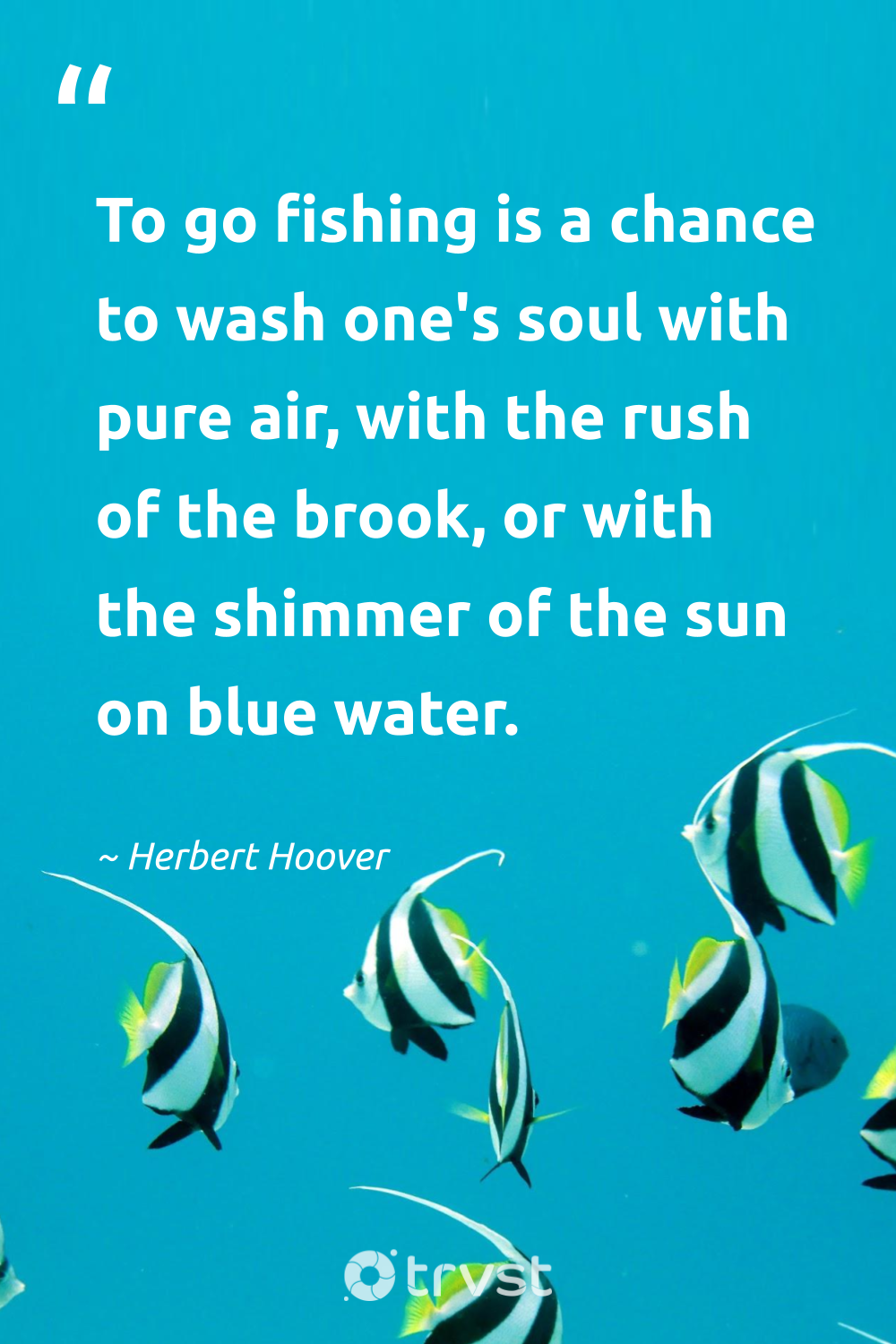 55 Fish Quotes And Sayings Swimming In Inspiration