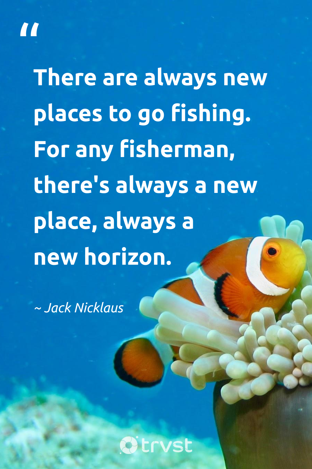 55 Fish Quotes And Sayings Swimming In Inspiration