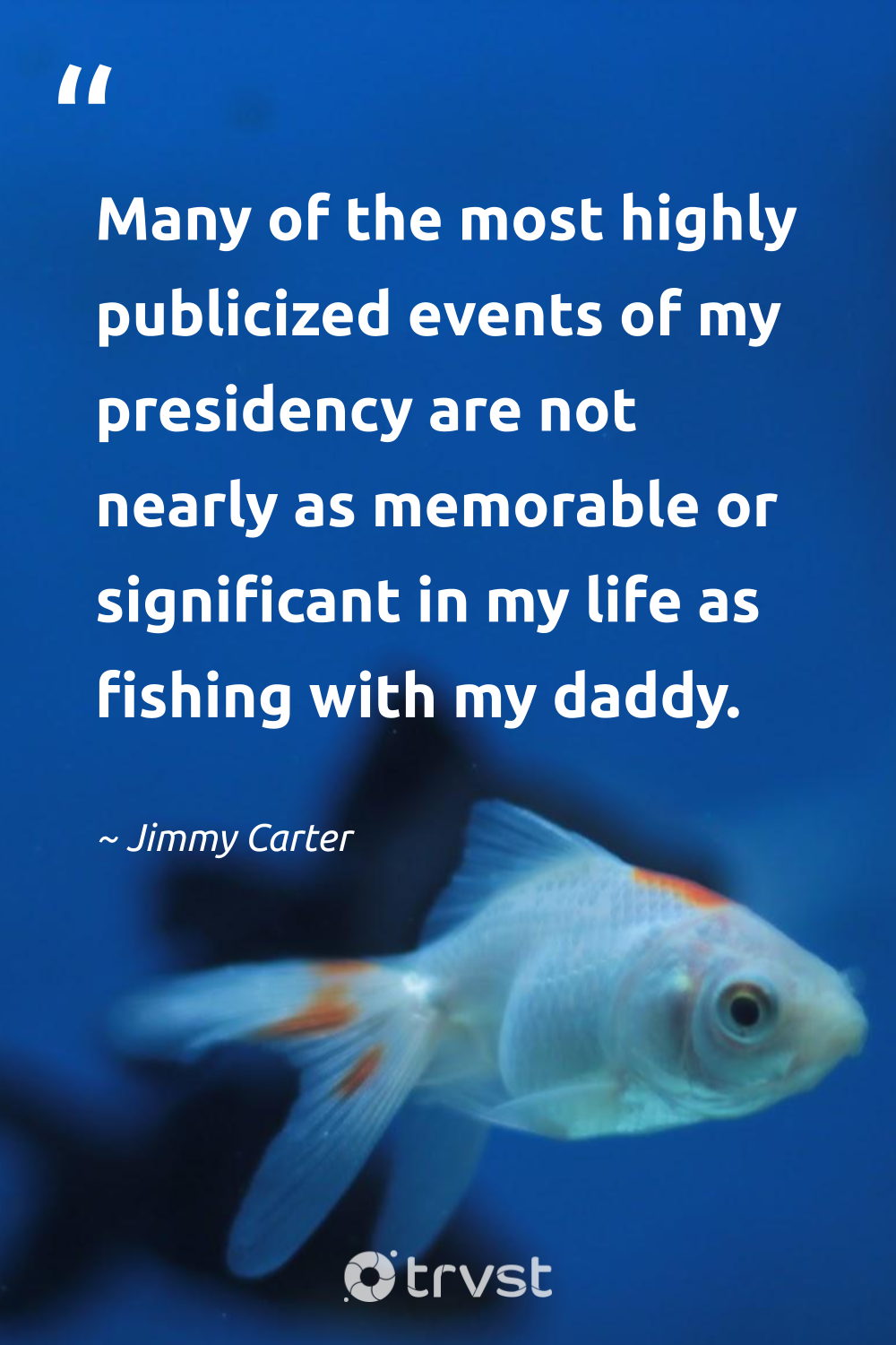 55 Fish Quotes And Sayings Swimming In Inspiration