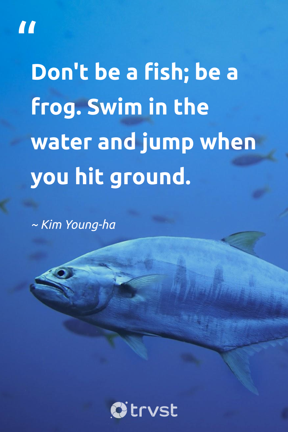 55 Fish Quotes And Sayings Swimming In Inspiration