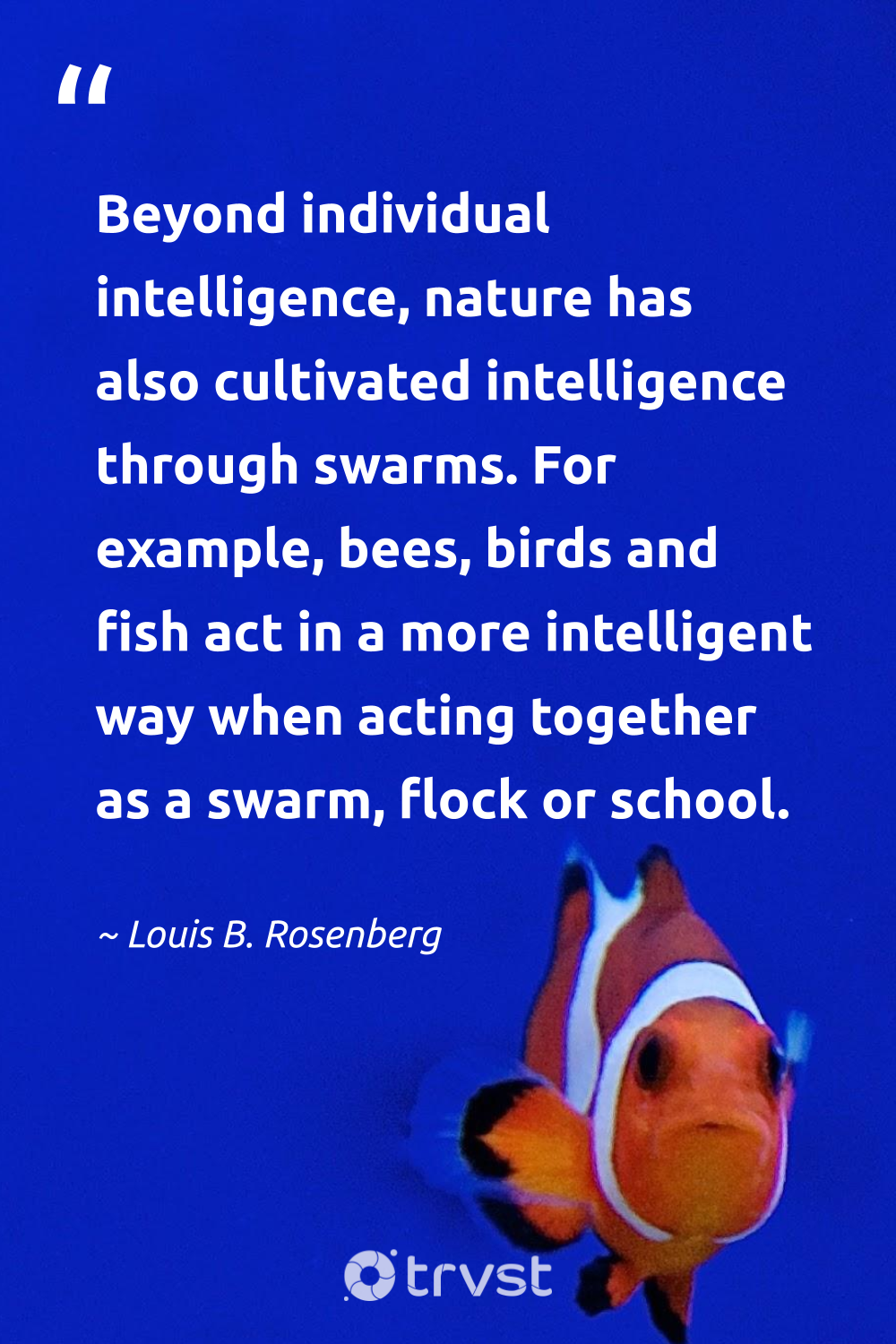 55 Fish Quotes And Sayings Swimming In Inspiration