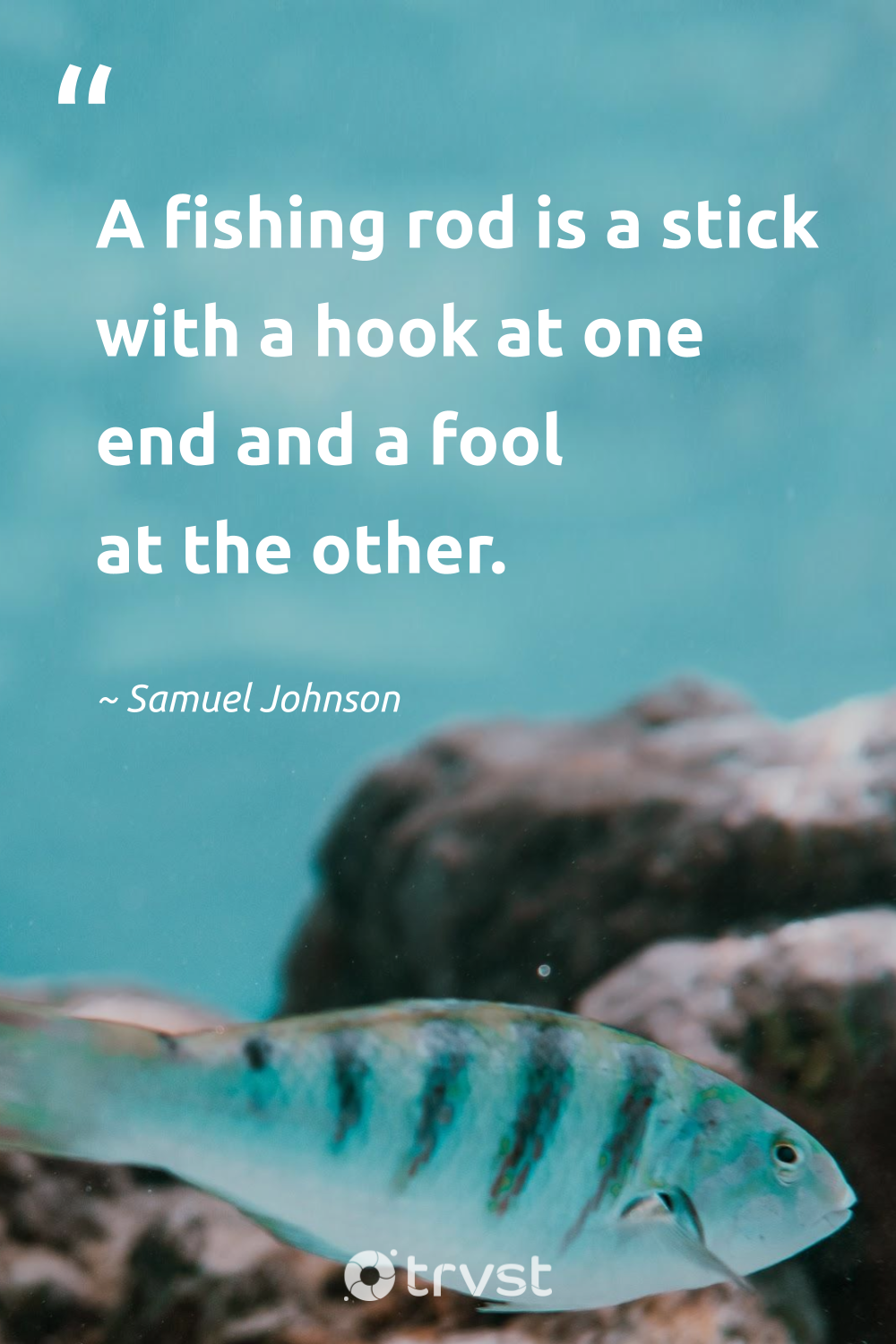 55 Fish Quotes And Sayings Swimming In Inspiration
