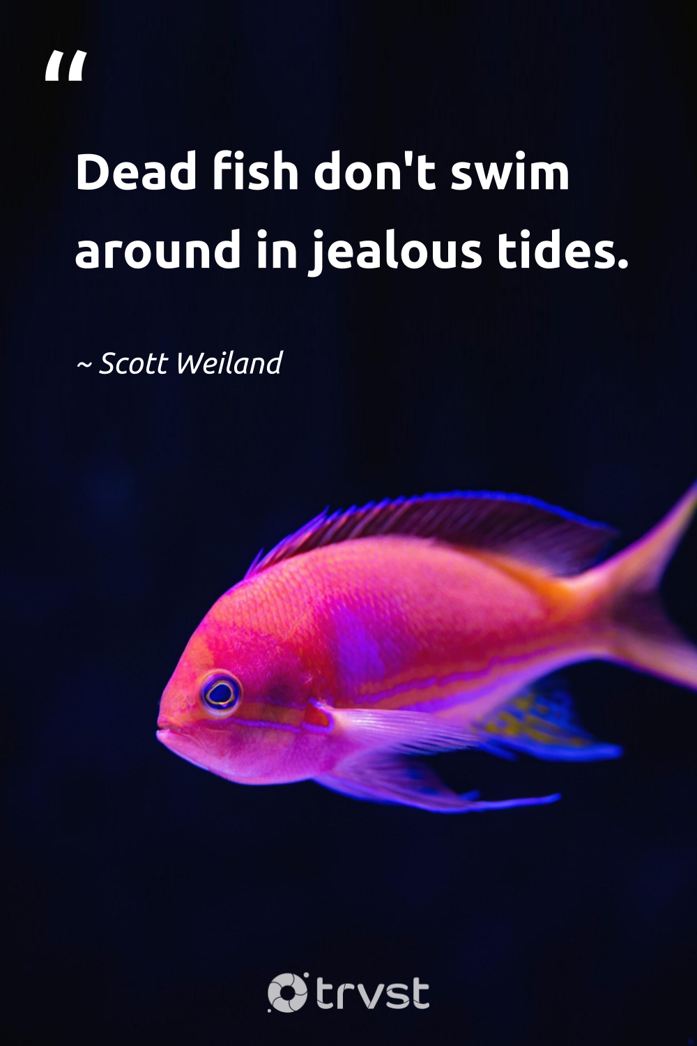 55 Fish Quotes And Sayings Swimming In Inspiration