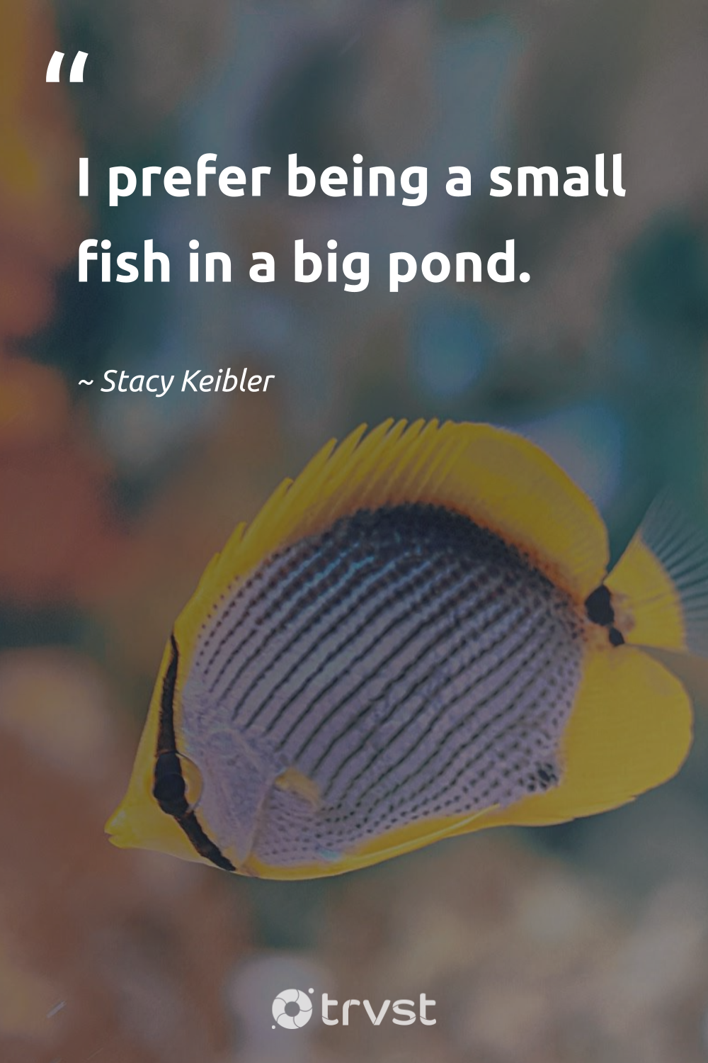55 Fish Quotes And Sayings Swimming In Inspiration