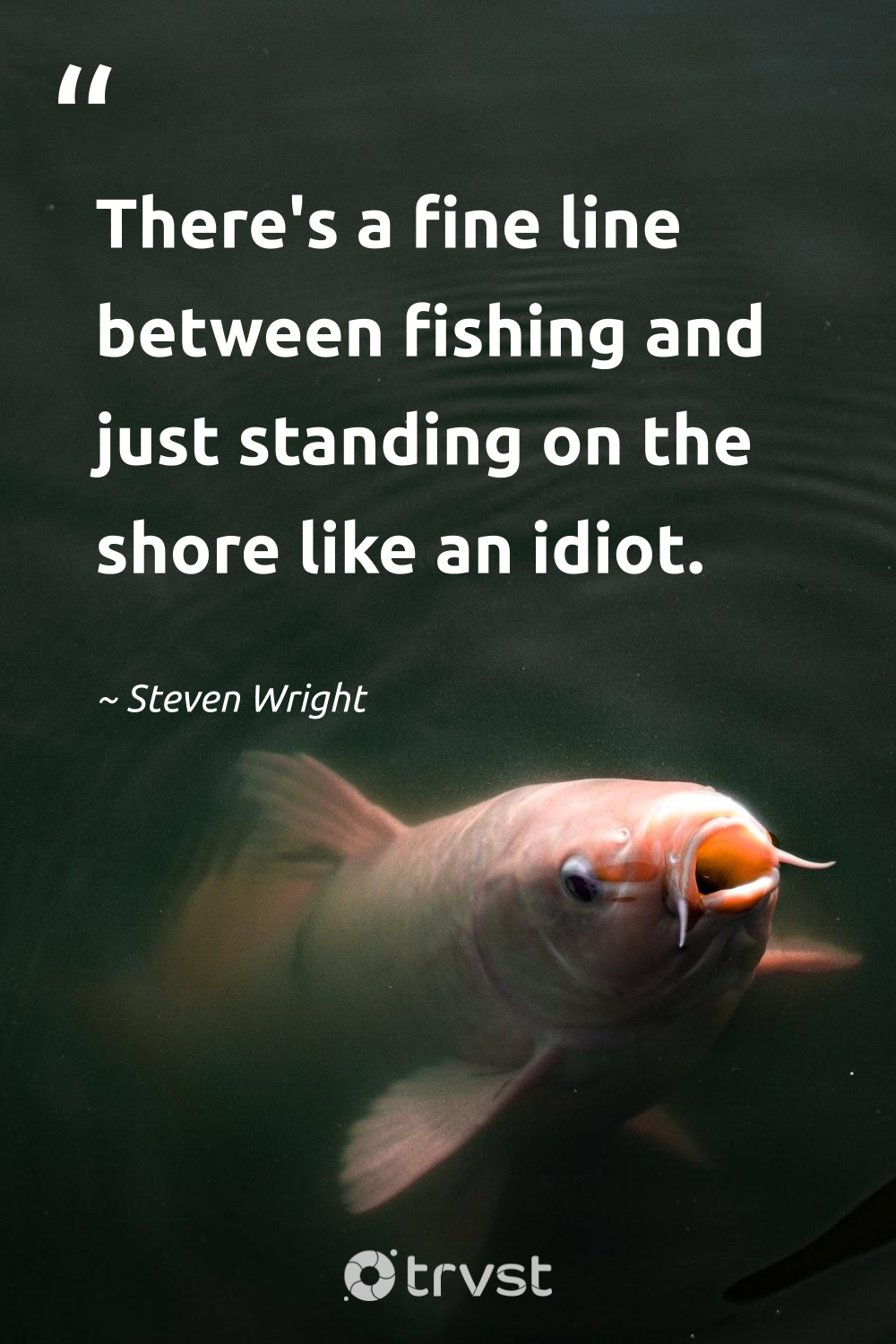 55 Fish Quotes And Sayings Swimming In Inspiration