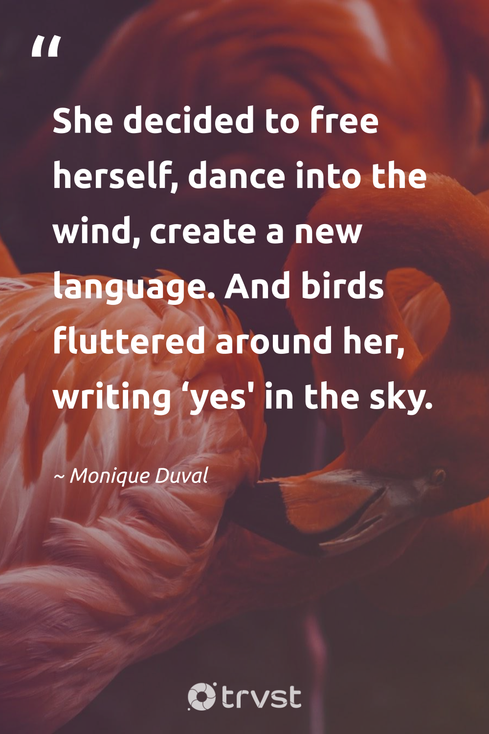 24 Flamingo Quotes & Sayings About These Fabulous Birds (2025)