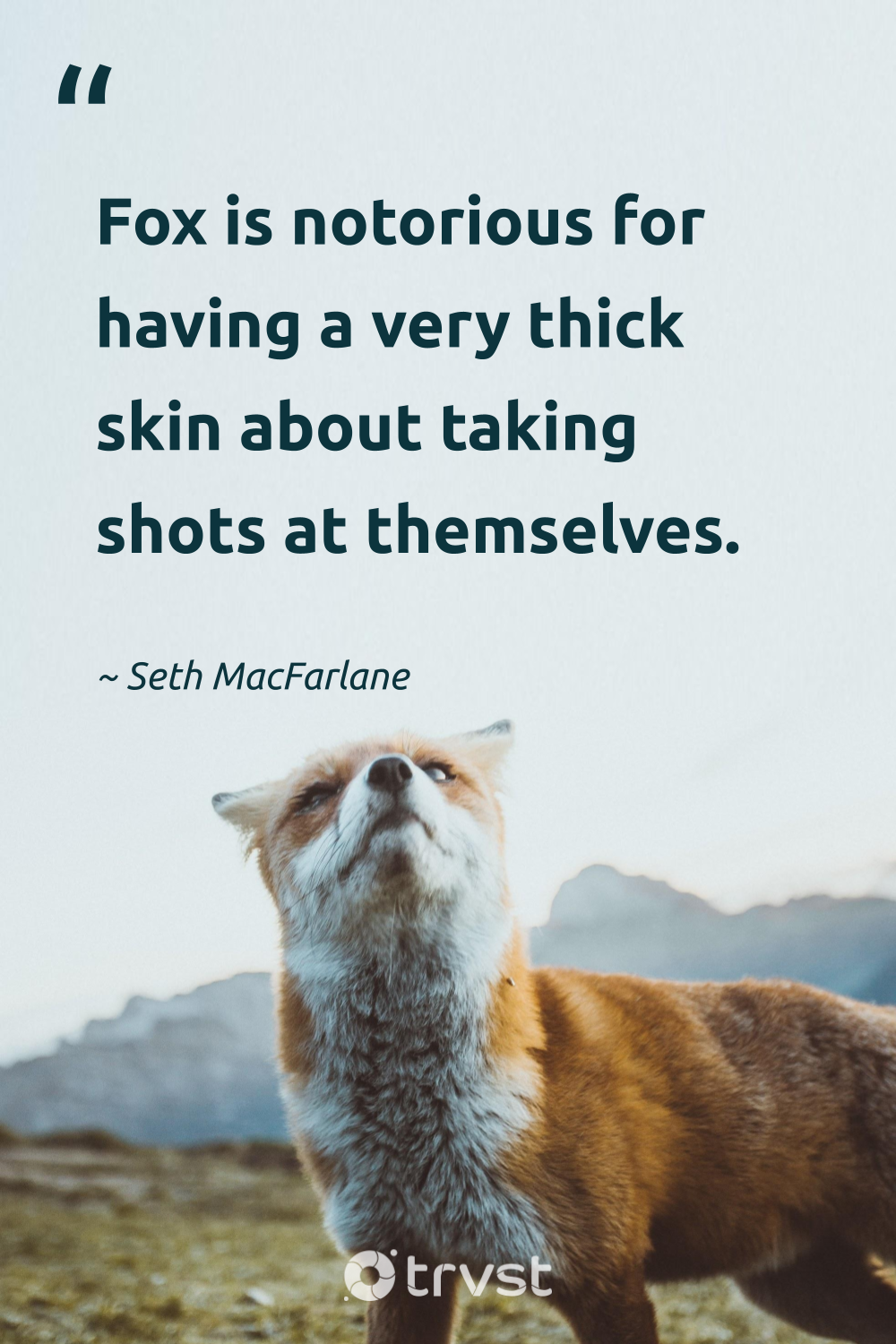 40 Fascinating Fox Quotes about the Clever Canines (2024)