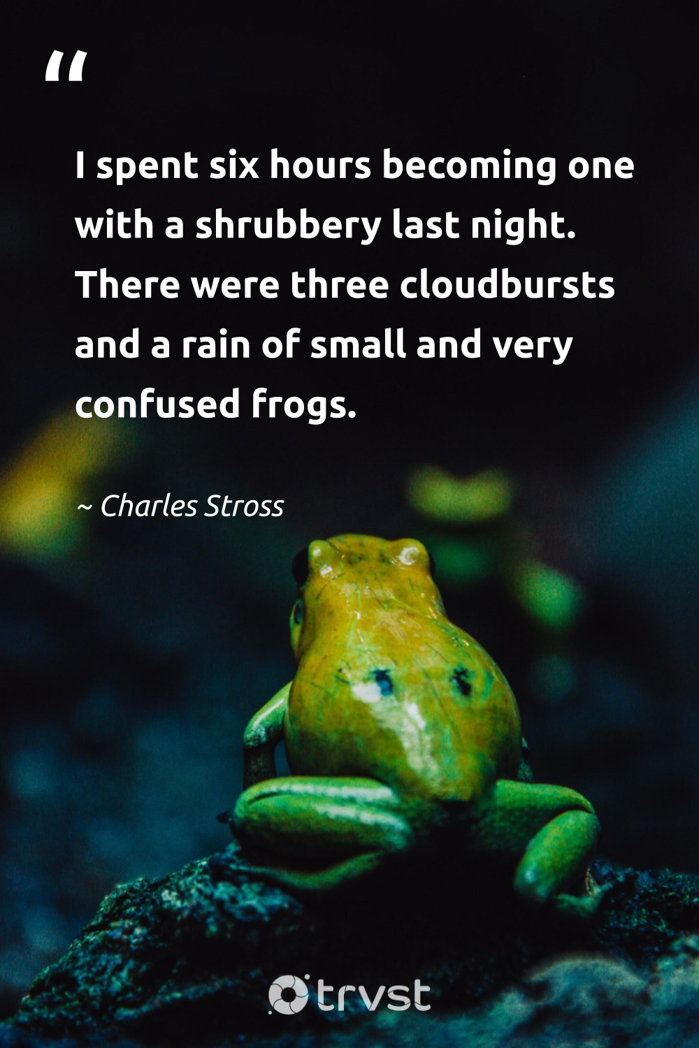 27 Frog Quotes about the Diverse Amphibians