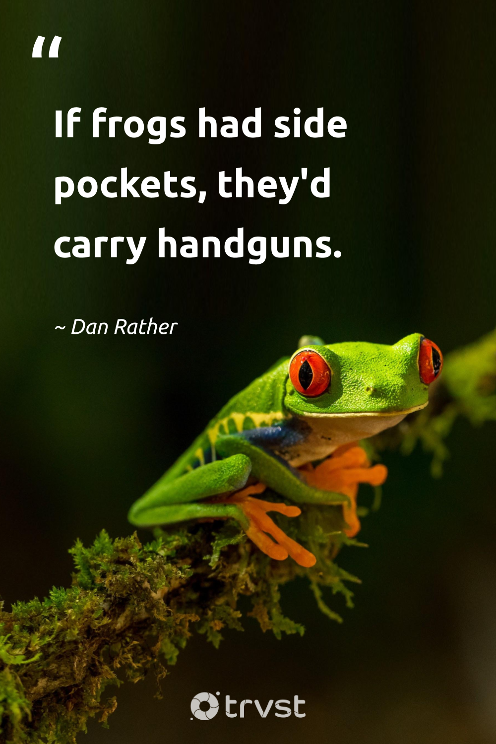 27 Frog Quotes about the Diverse Amphibians