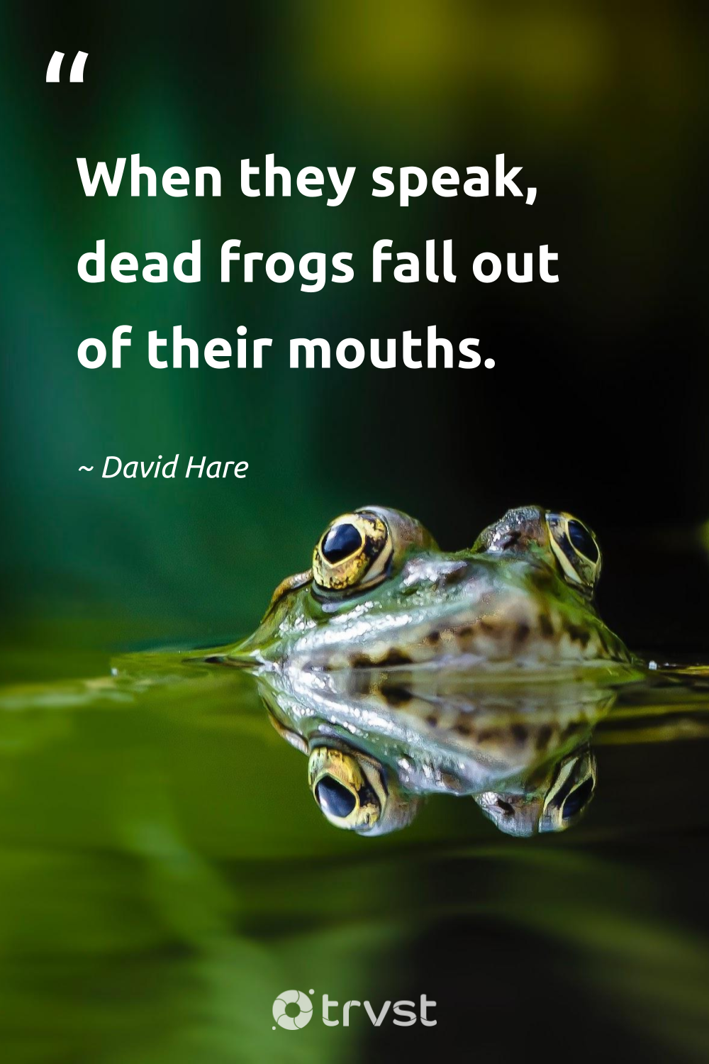 27 Frog Quotes about the Diverse Amphibians